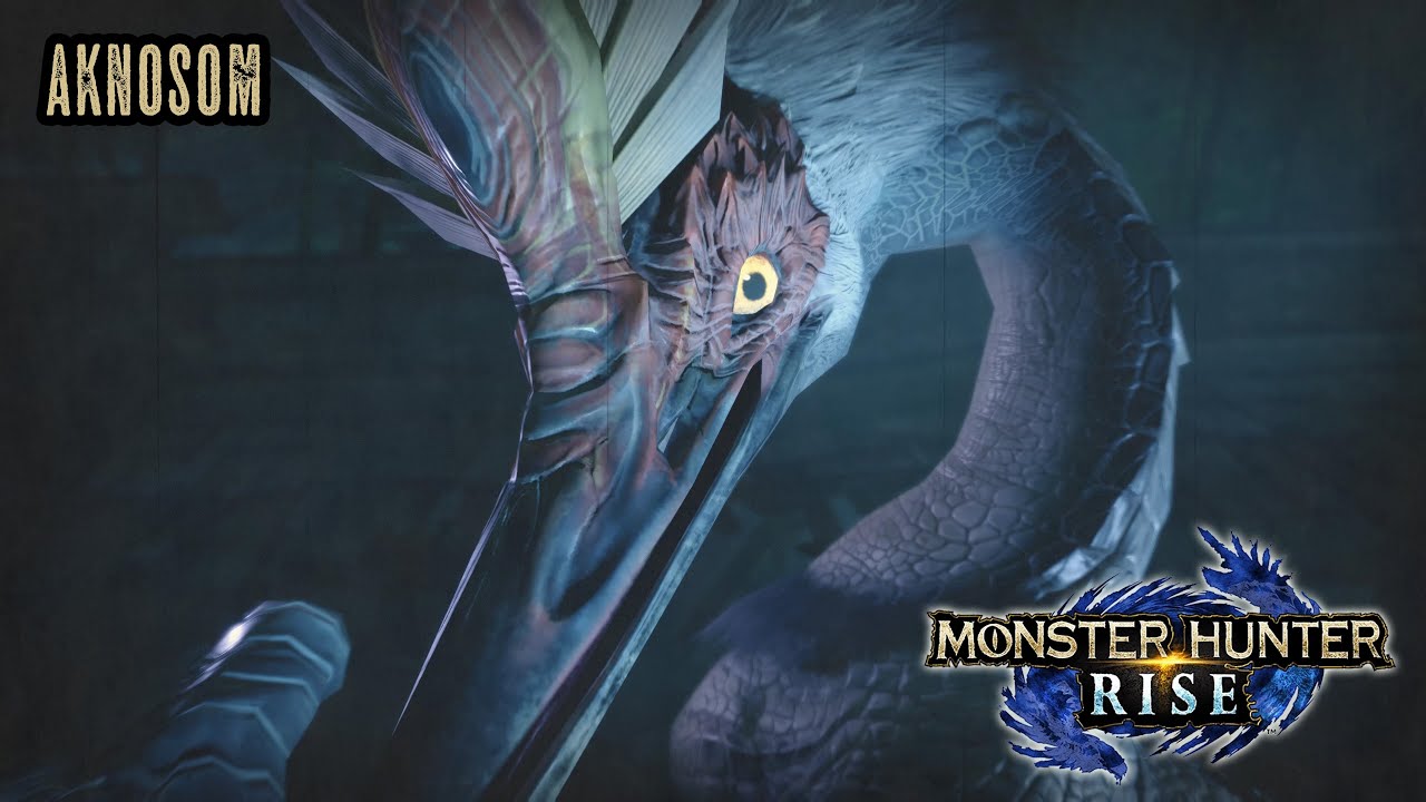 Monster Hunter Rise #01 - Aknosom - German, Gameplay, PC [4K] - YouTube