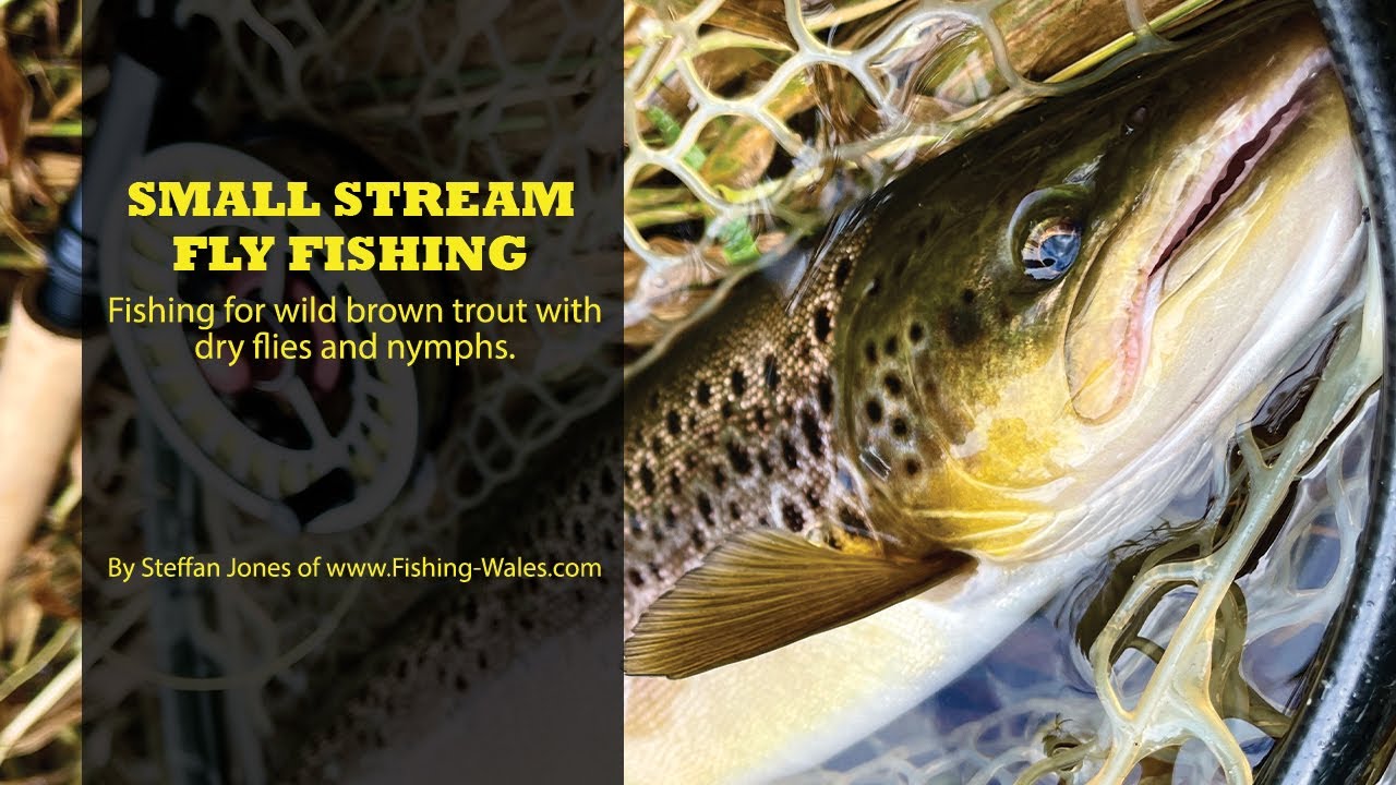 BROWN TROUT FISHING; SMALL STREAM DRY FLY & NYMPH FISHING IN WALES, BY ...