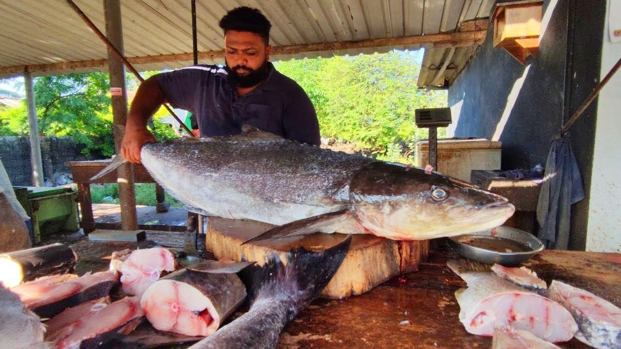 Amazing !! Huge 45 kg Cobia Fish Cutting Skills in Sri Lanka ...