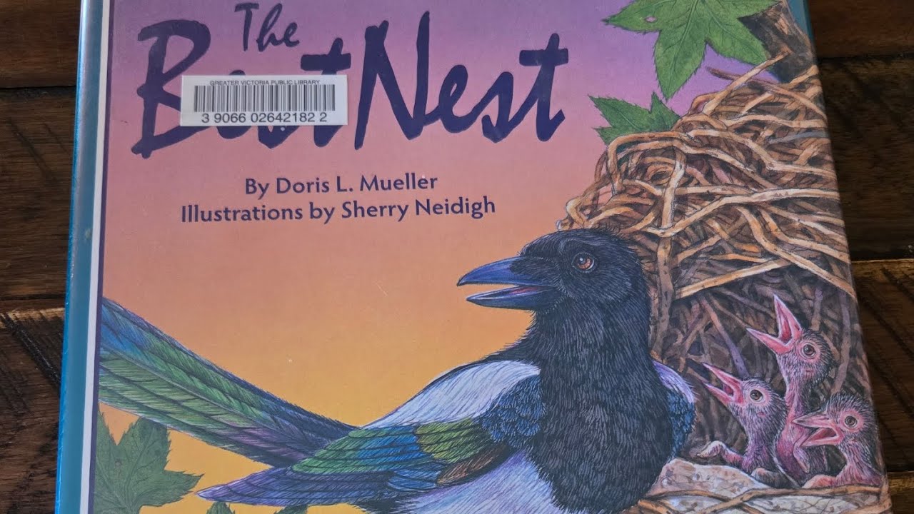The Best Nest by Doris L. Mueller (READ ALOUD) Auntie Cara's Preschool ...