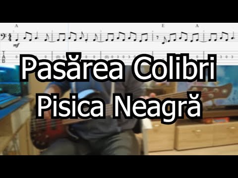 Pasarea Colibri - Pisica Neagra (Bass cover/Tutorial) (Play Along Tabs ...
