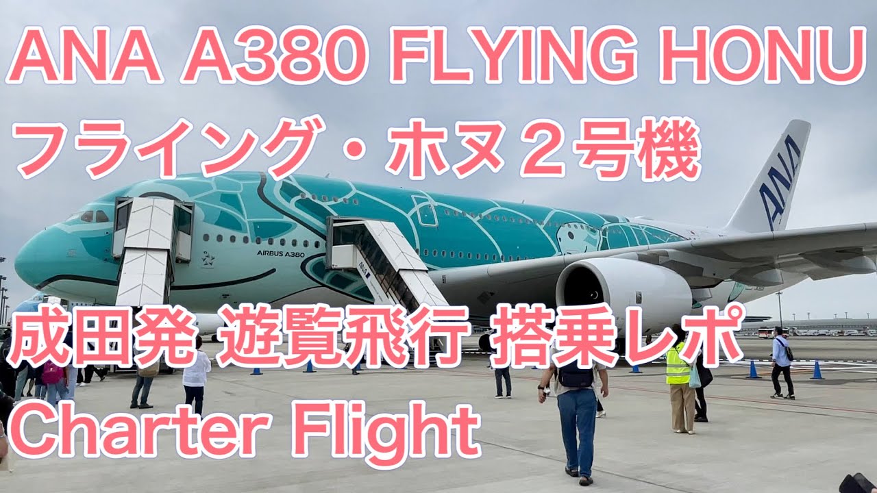 【搭乗レポ】ANA FLYING HONU チャーターフライト A380 フライング・ホヌ 遊覧飛行 成田→成田 ANA A380 ...
