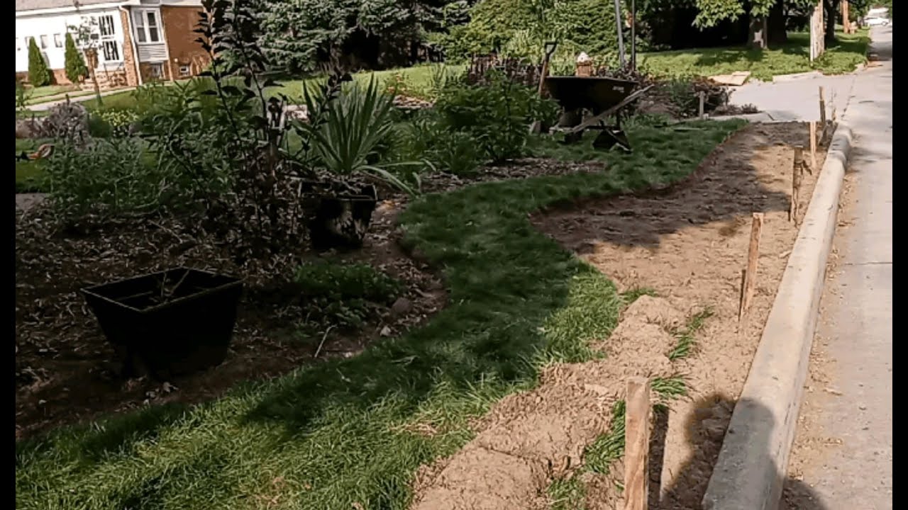 How to Make a Mostly Native Plant Hellstrip Garden. Part 1 of 3 - YouTube