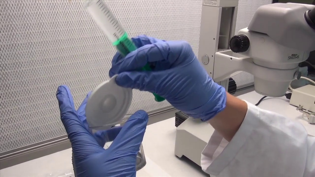 Embryo transfer (II) - YouTube