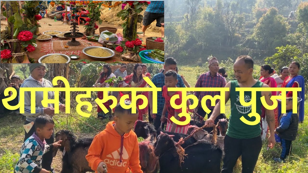 पाल्पाली थामीहरुको कुल पुजा🇳🇵Rainadevi chhahara 5 mujhung palpa - YouTube