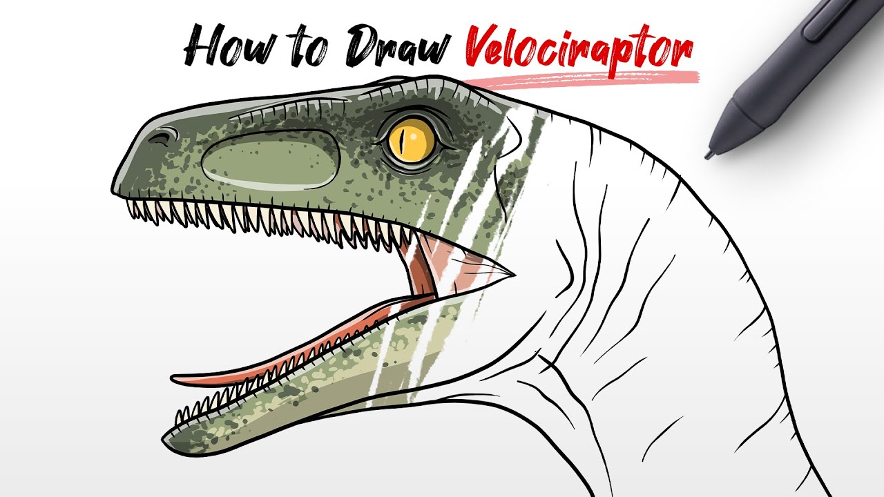 How To Draw Velociraptor Charlie Head Dinosaur From Jurassic World Step