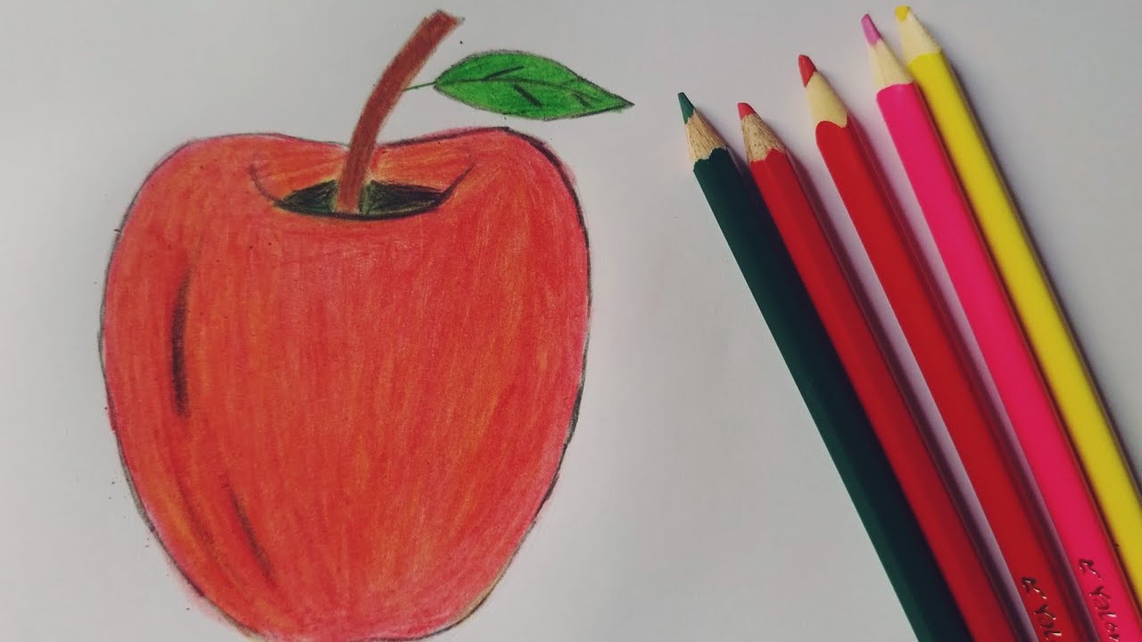 Appledrawing How To Draw An Apple Using Colour Pencil Apple Drawing