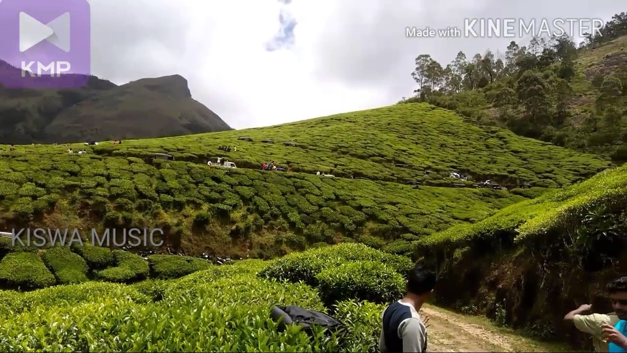 Meesha puli mala trip - YouTube