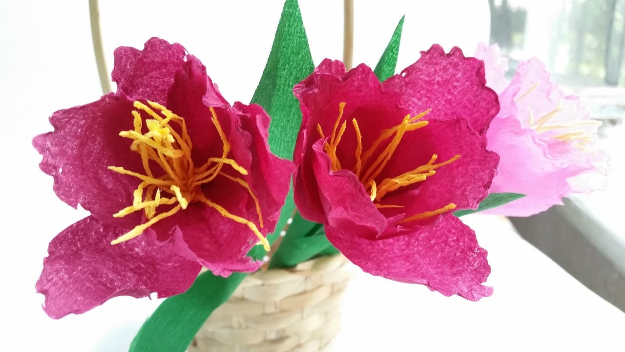 Paper Flowers Tulip Diy Tutorial Easy From Crepe Paper Tutorial Making Realistic Paper Flowers Paper Flowers Tulip Diy Tutorial Easy From Crepe Paper Tutorial Making Realistic Paper Flowers