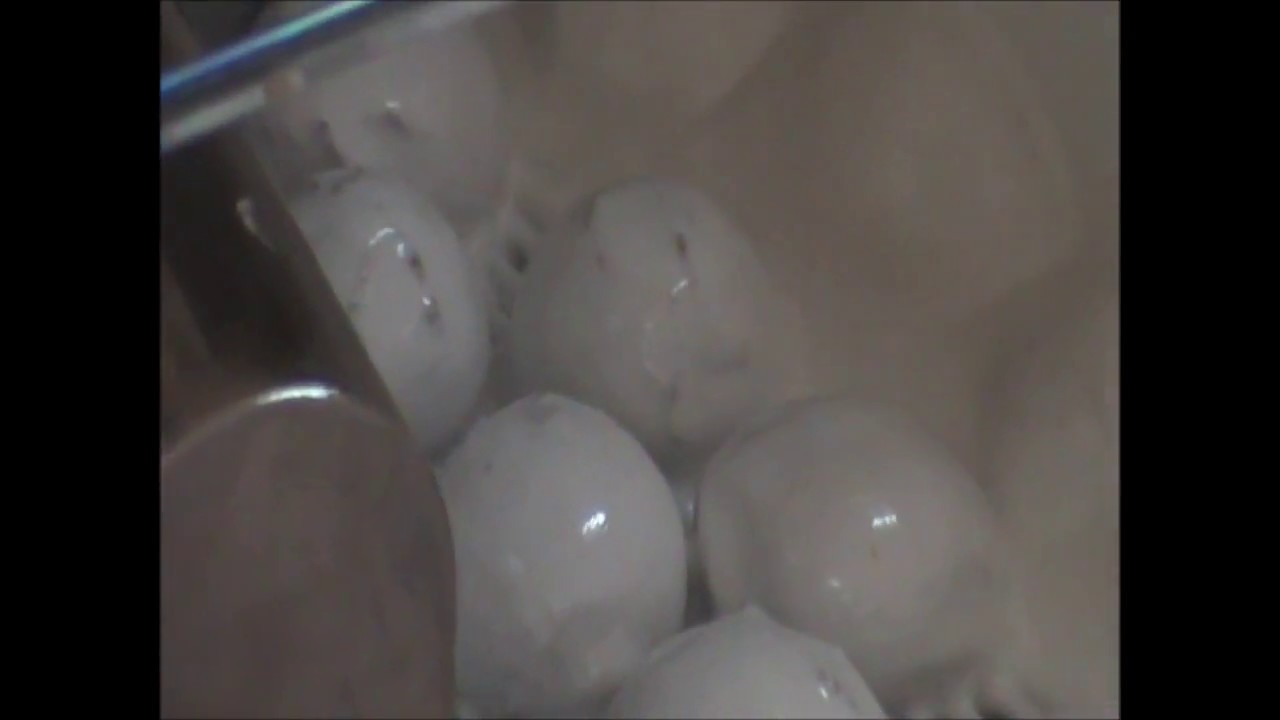 GAMI T550 Tempering Machine - ProBAKE Bakery Equipment - YouTube