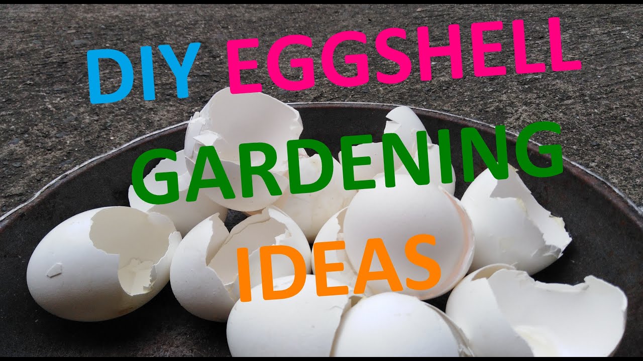 DIY EGGSHELL GARDENING IDEAS - YouTube
