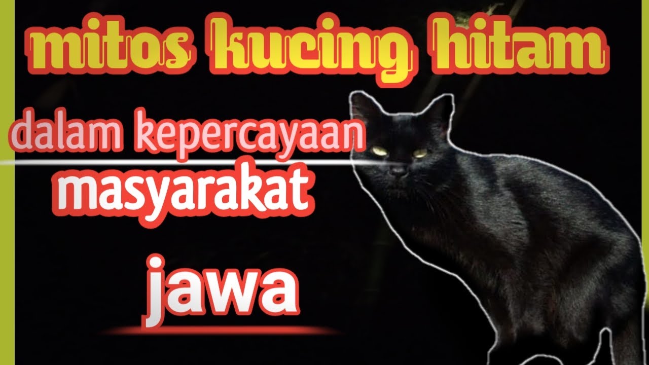 Mitos tentang kucing hitam||masyarakat jawa - YouTube