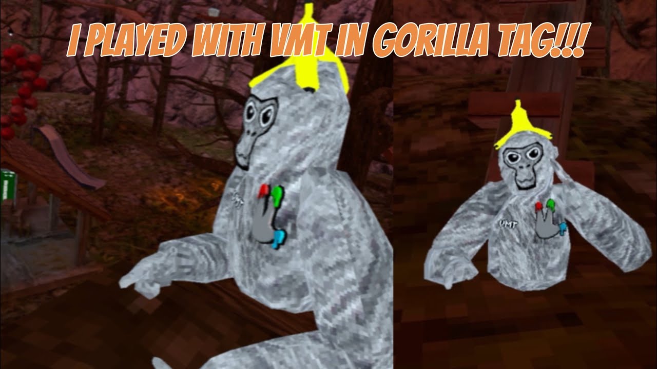 I played with @VMT in gorilla tag. - YouTube