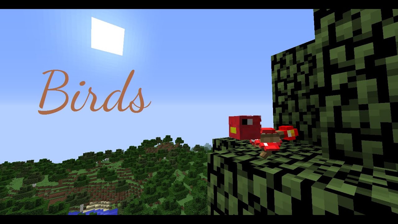 Minecraft: Birds (Vanilla 1.8) - YouTube