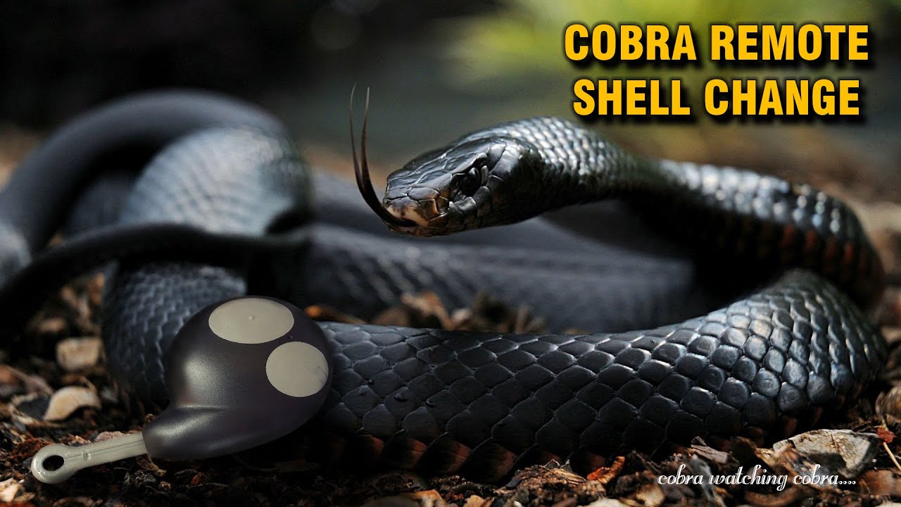 Cobra Remote Shell Change - YouTube