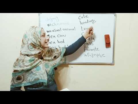 الصف الخامس الابتدائي unit 9 lesson 5/6 - YouTube