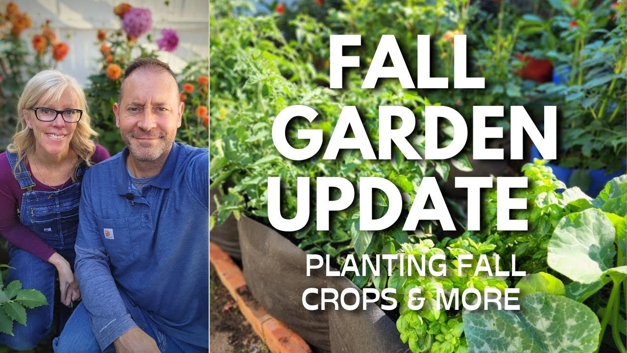 🌿Fall Garden Update: Planting Fall Crops & More 🥕 #fallgarden # ...