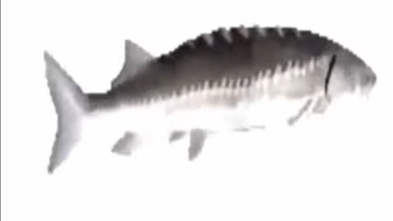 Low Quality Spinning Fish Funky town HD 10hour - YouTube