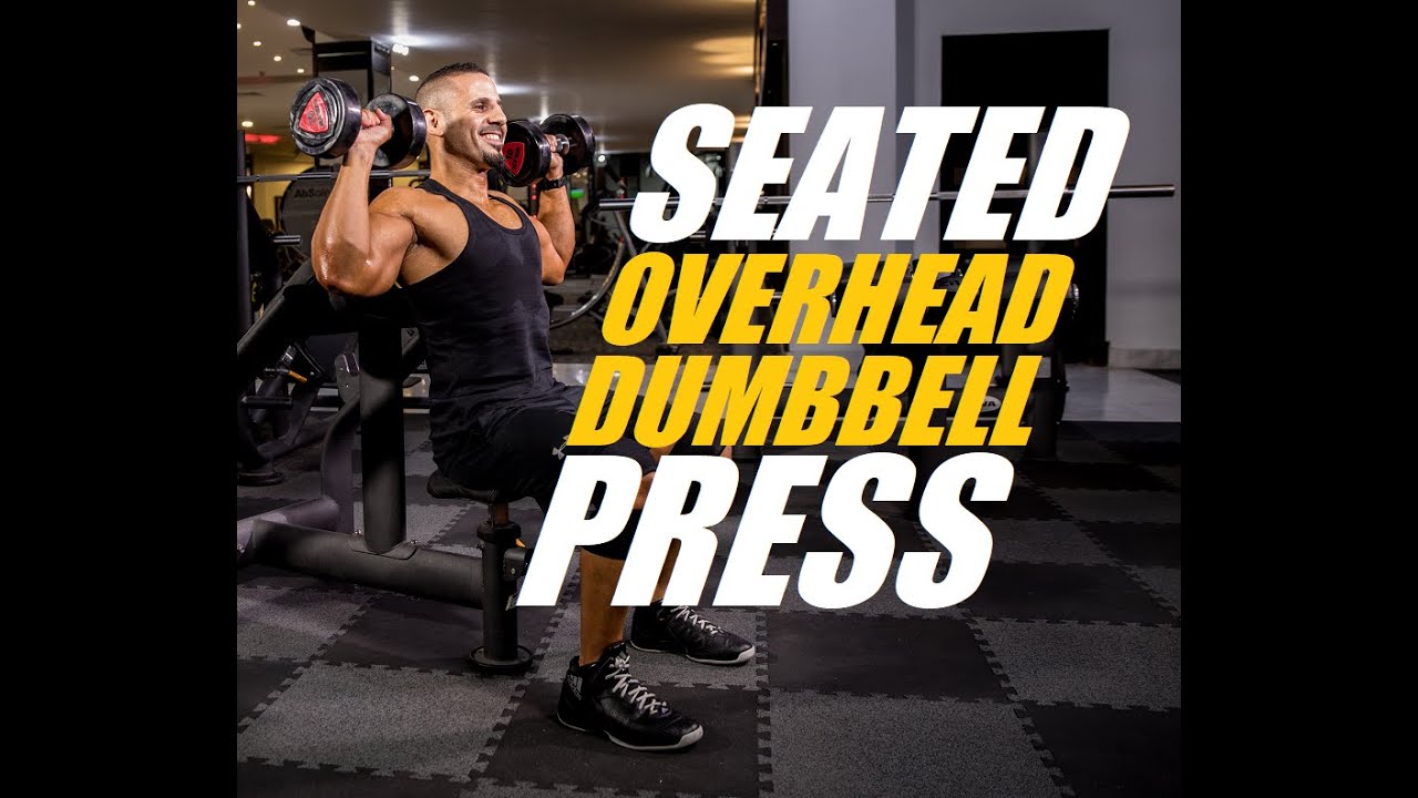 Seated Overhead Dumbbell Press (Shoulders) - YouTube