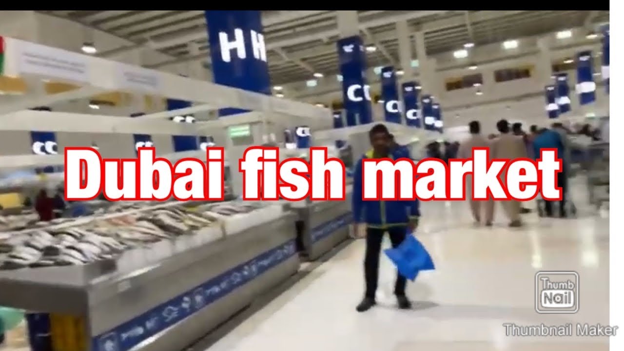 DUBAI fish WATERFRONT MARKET tour - YouTube