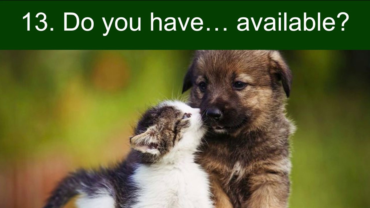 100 common English structure - 13. Do you have… available? - YouTube