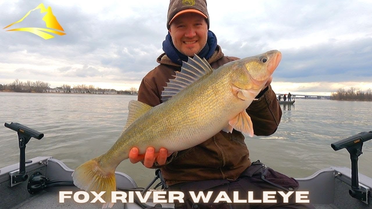 Fox River Walleye Fishing - Jigging up Monsters during the Walleye Rut ...