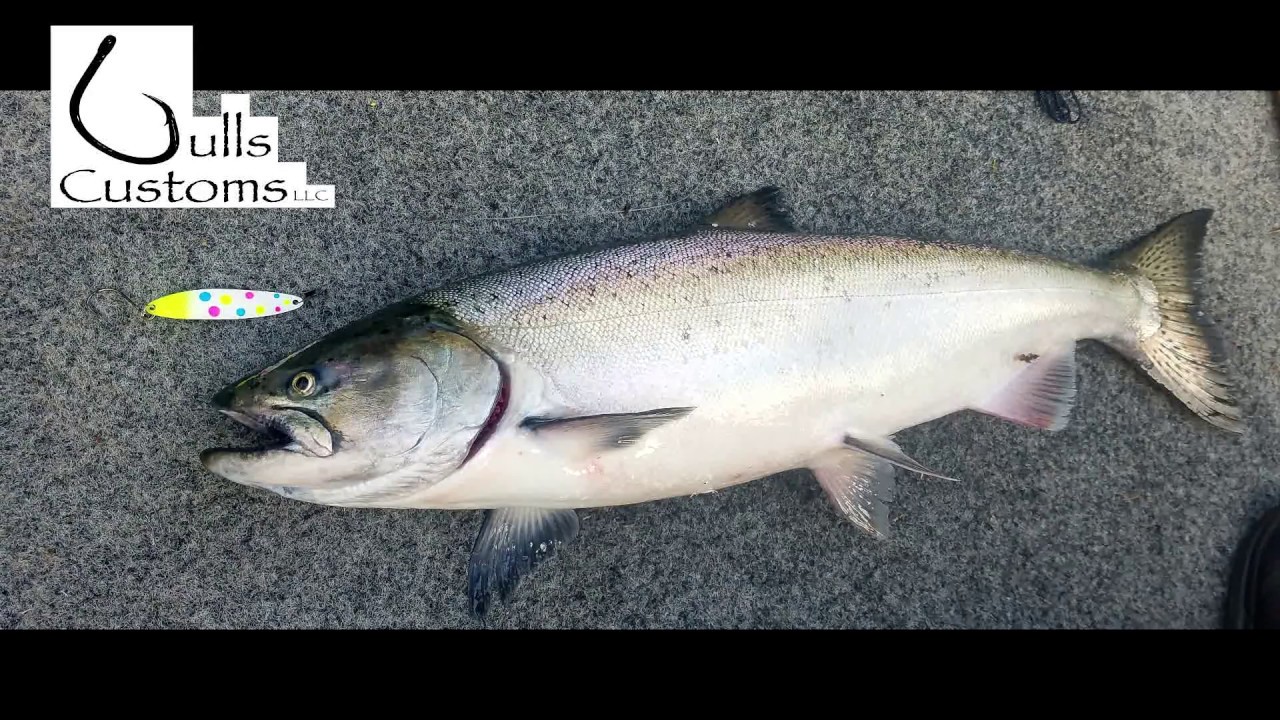 Puget Sound Salmon Fishing 7-21-17 - YouTube