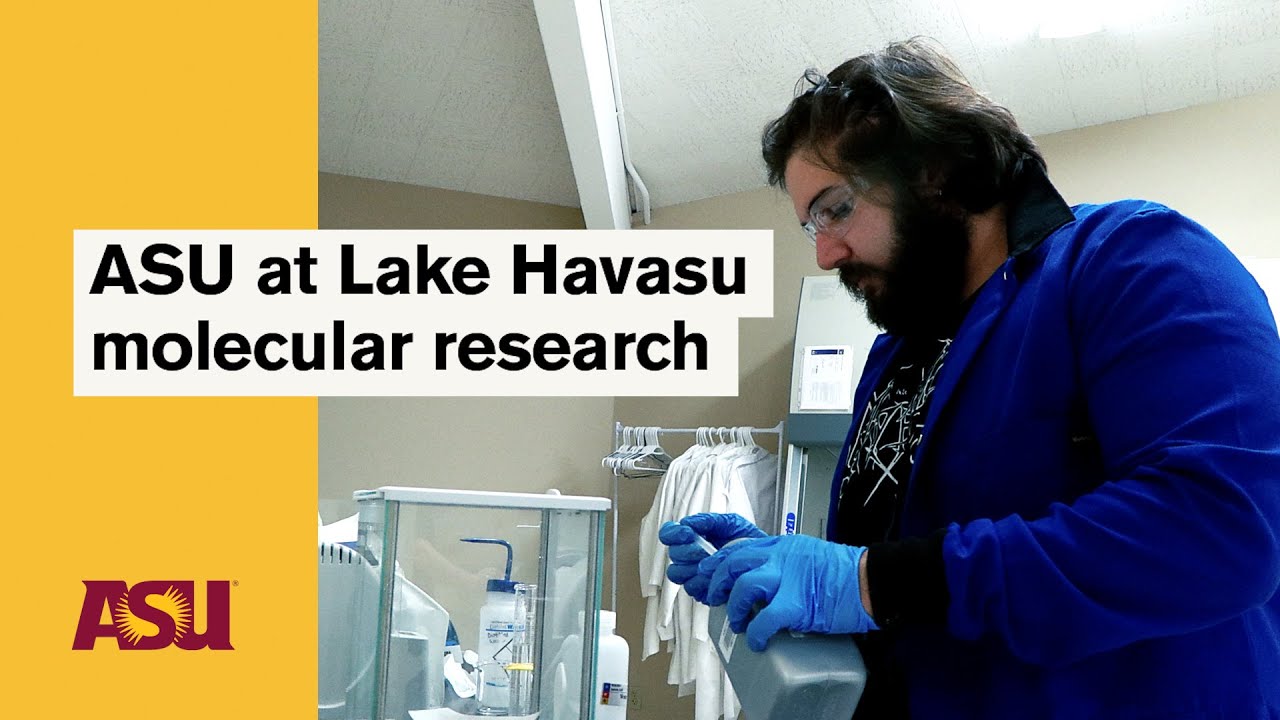 ASU at Lake Havasu molecular research: Arizona State University (ASU ...