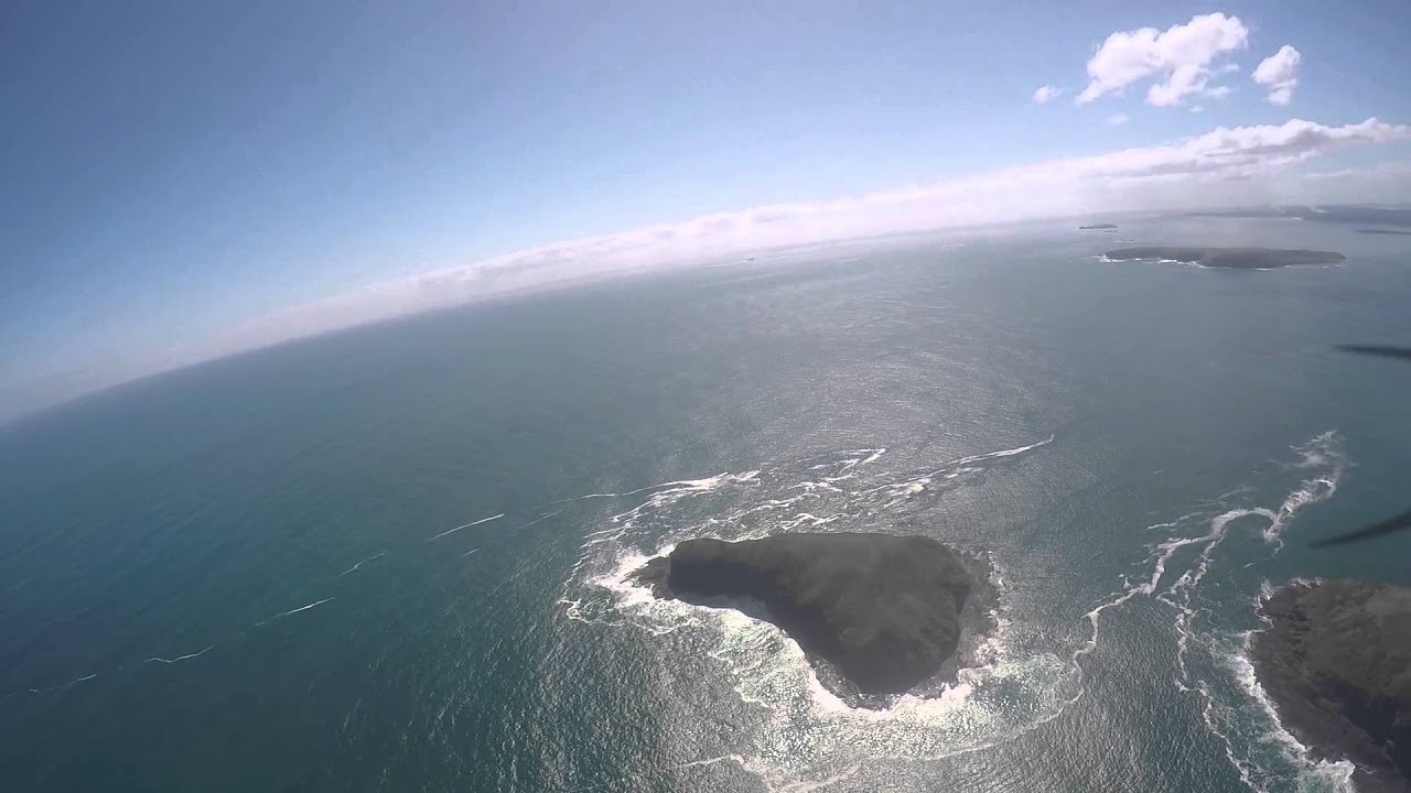 CAPE GRIM & TREFOIL ISLAND - YouTube