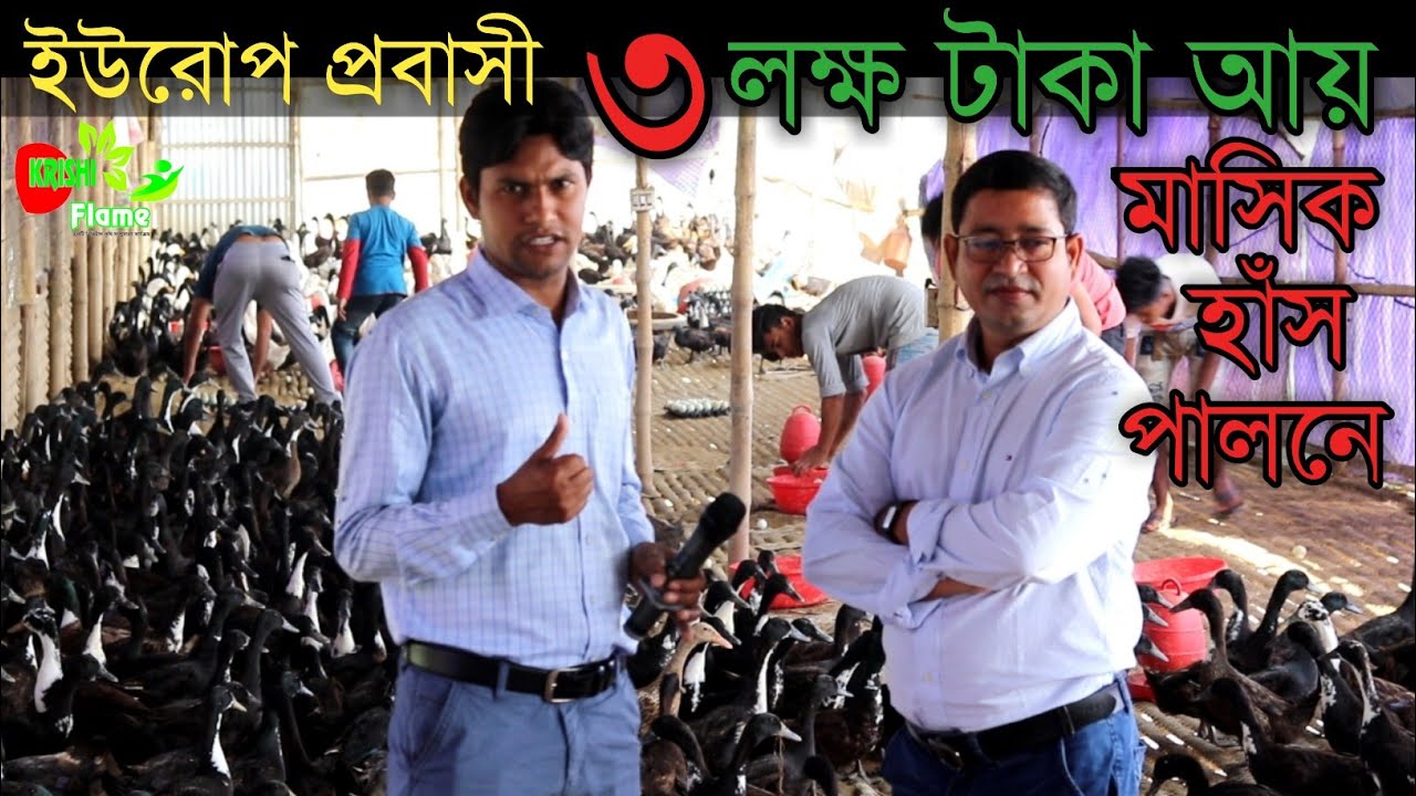 থাইল্যান্ডের ব্ল্যাকহোল্ড হাঁস সমন্বিত পালন পদ্ধতি , প্রতিমাসে ৩ লক্ষ ...