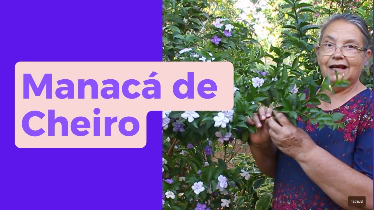 A Maneira mais fácil de Fazer Mudas de Manacá de Cheiro - YouTube