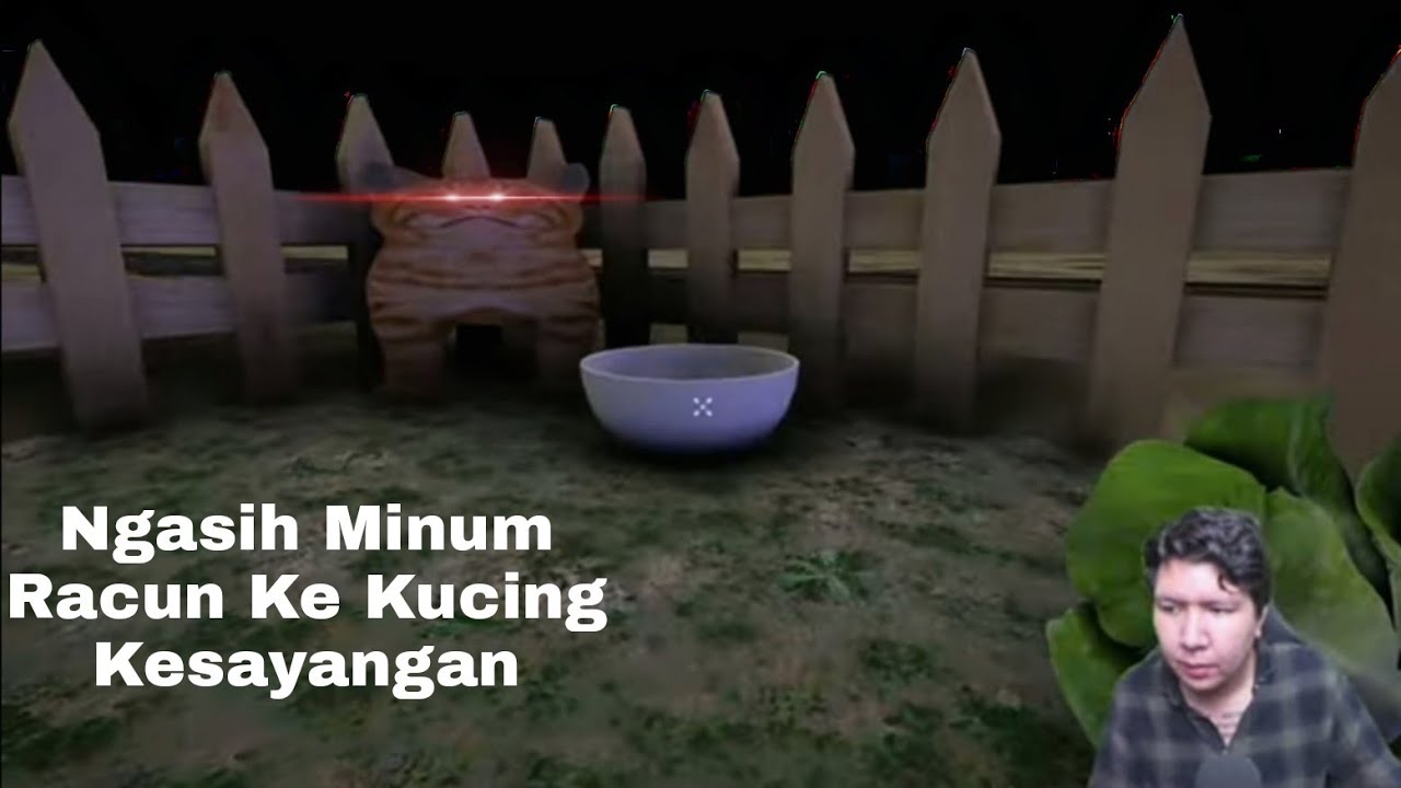 Windah Basudara!! Ngasih minum dan makan kucing kesayangan.. - YouTube