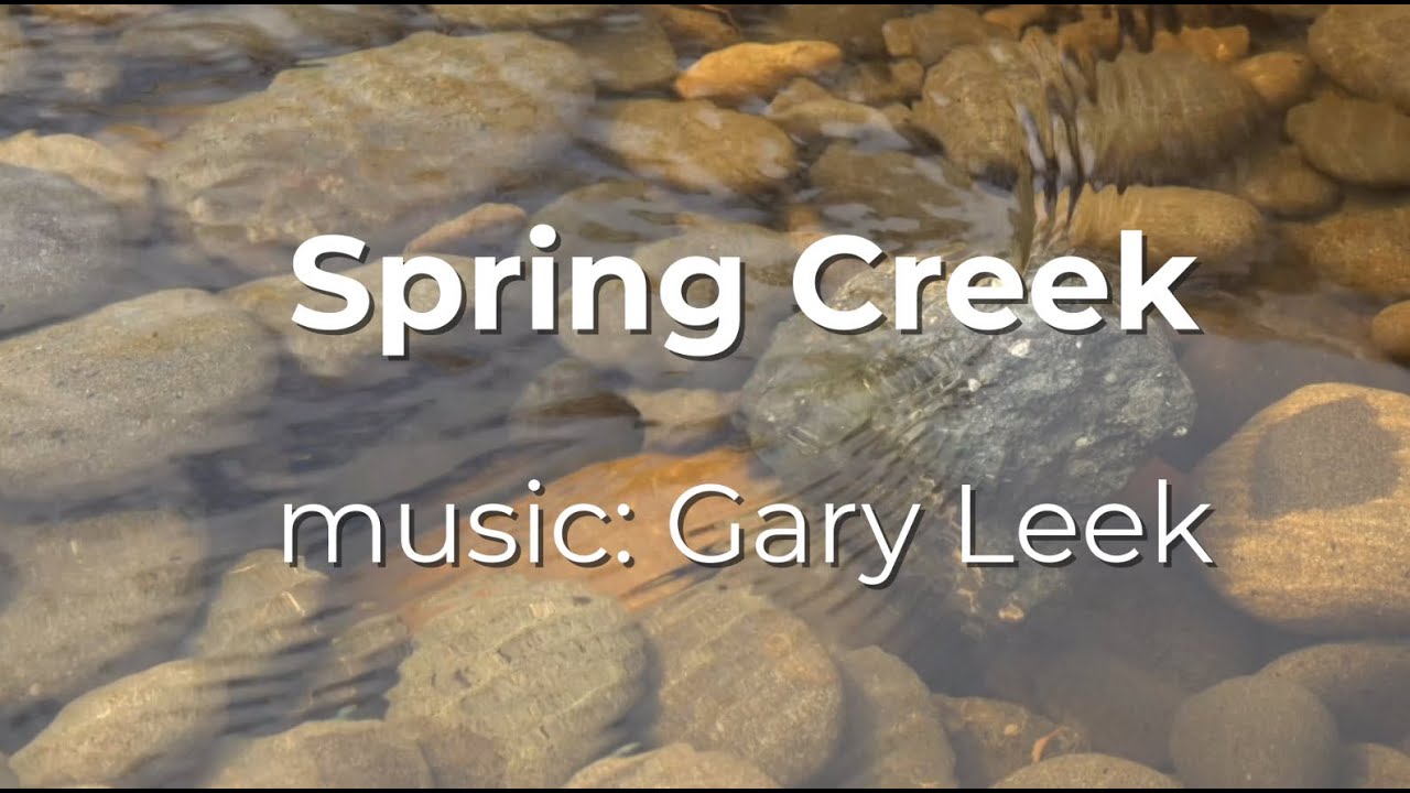 Spring Creek Road 2025 01 26A - YouTube