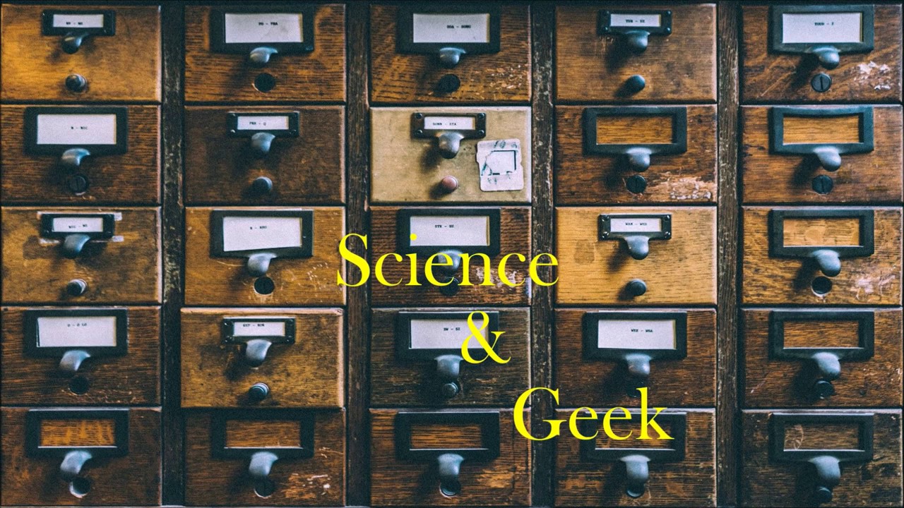 Classification emboitée et arbres de parenté - YouTube