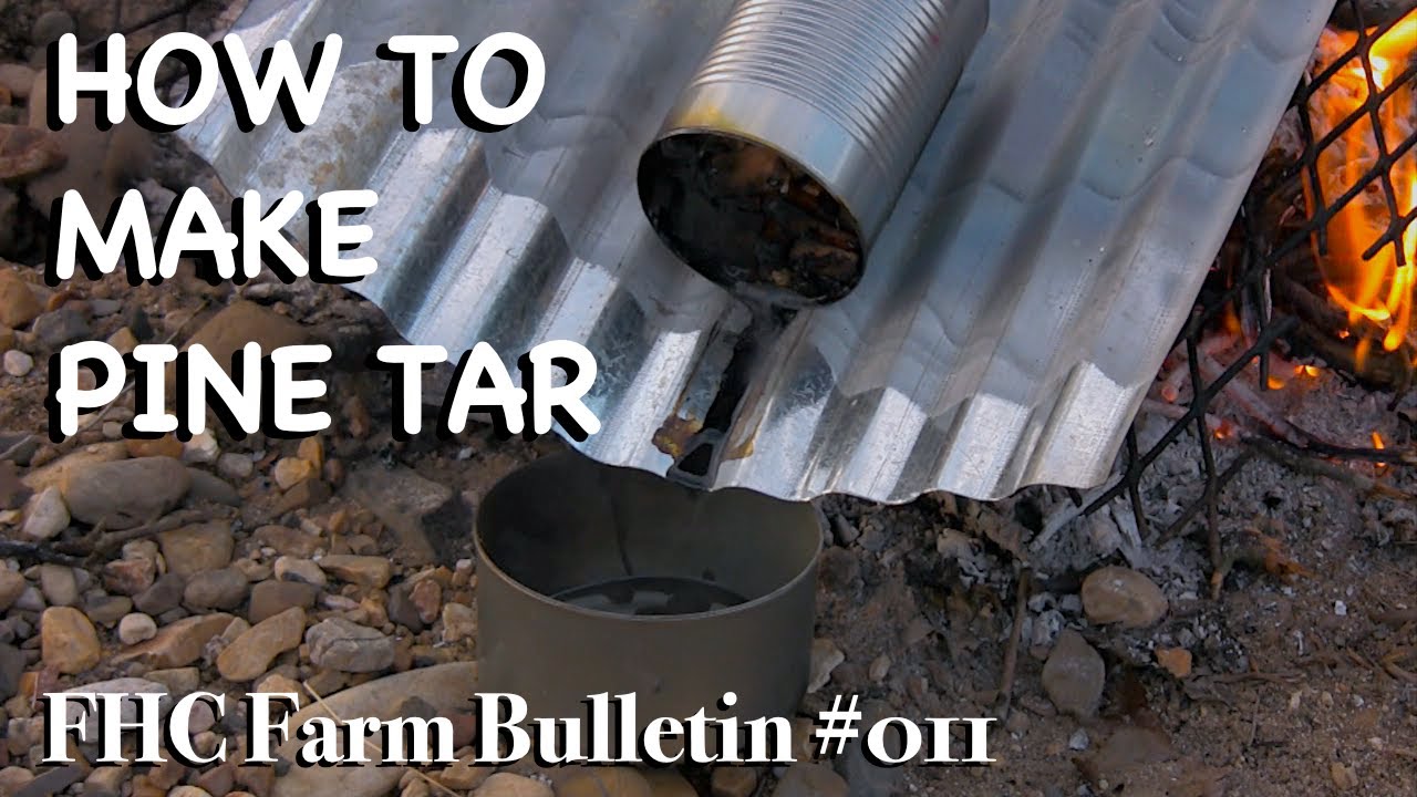 Making Pine Tar - FHC Farm Bulletin #11 - YouTube
