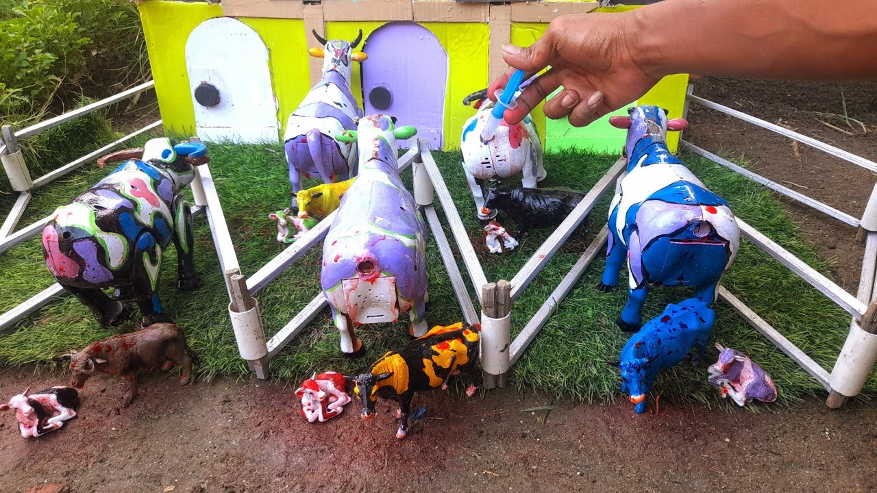 Wadidau Proses !!!!! Sapi Melahirkan Sesar💉Simulasi Potong Sapi Manusia ...