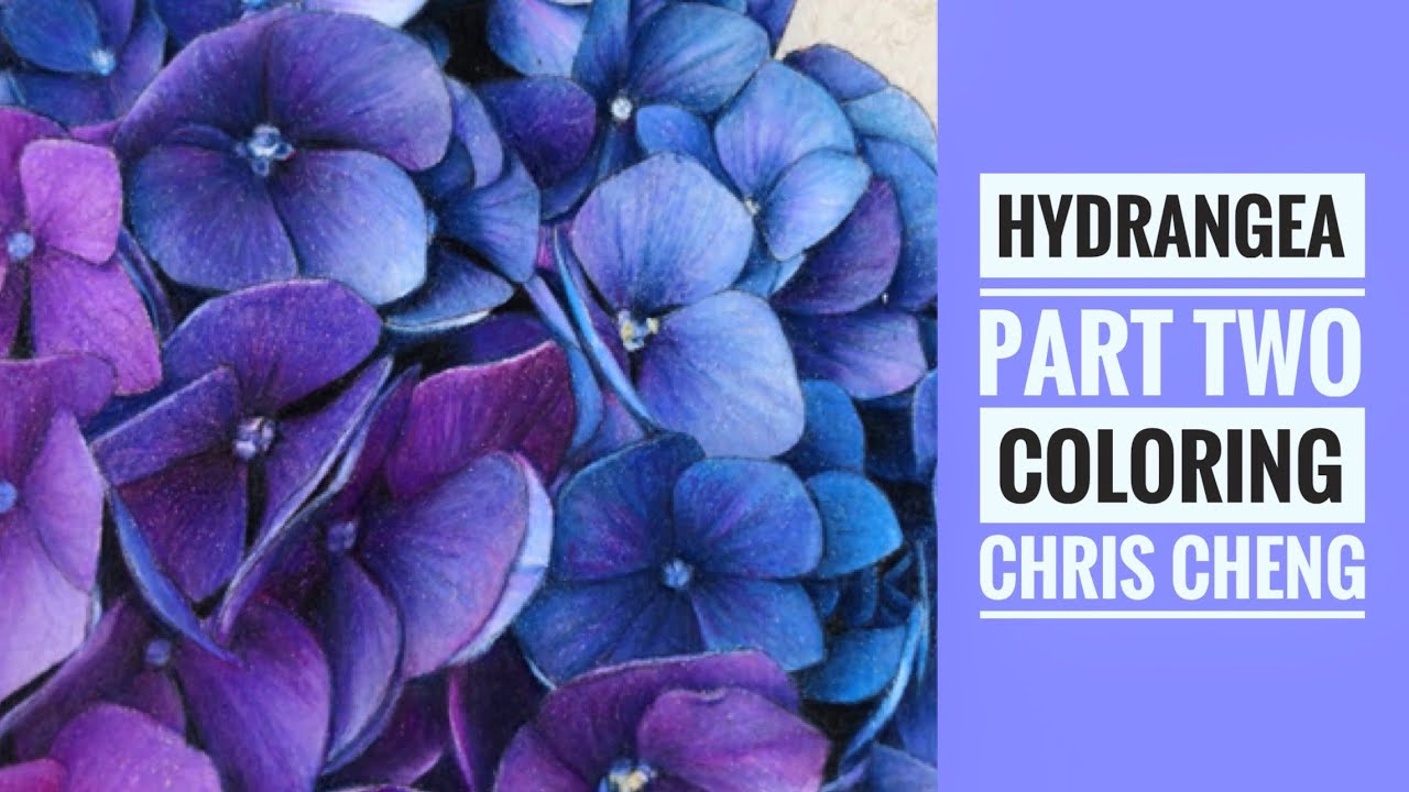HYDRANGEA - Part 2: Flowers Coloring // Chris Cheng - YouTube