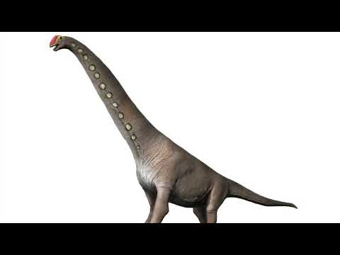 Recreated dinosaur sounds: BRACHIOSAURUS