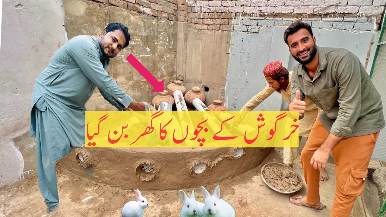 Finally Mud Rabbit House Bn Gea😍 || Rabbit baby bhi agaiye - YouTube