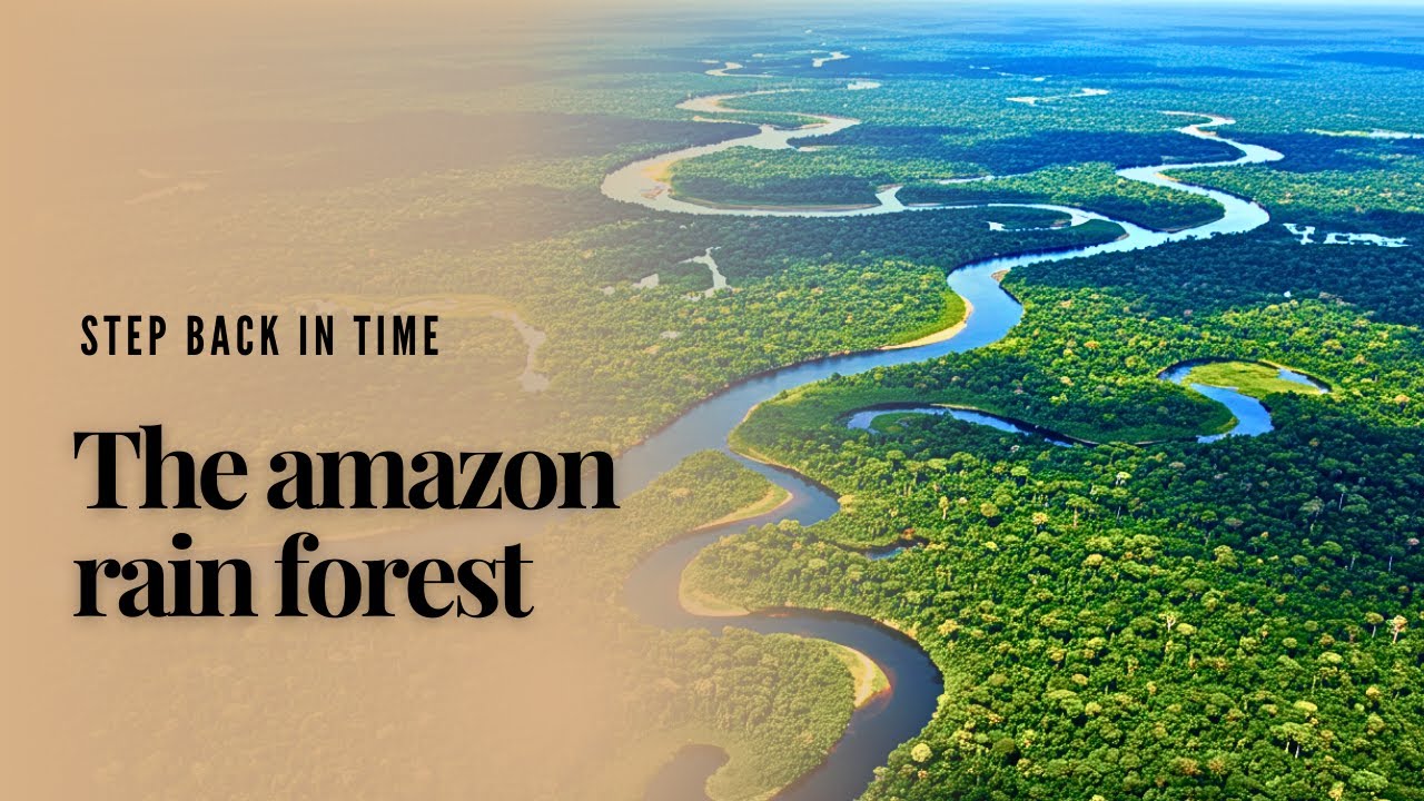 Do you know “The Amazon Rainforest – Secrets of the Wild” - YouTube