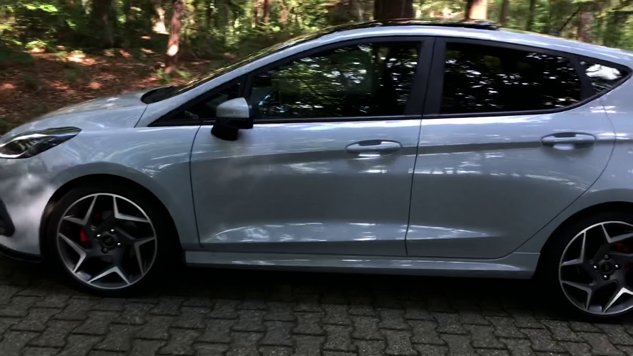 Fiesta ST MK8 Silver fox - YouTube