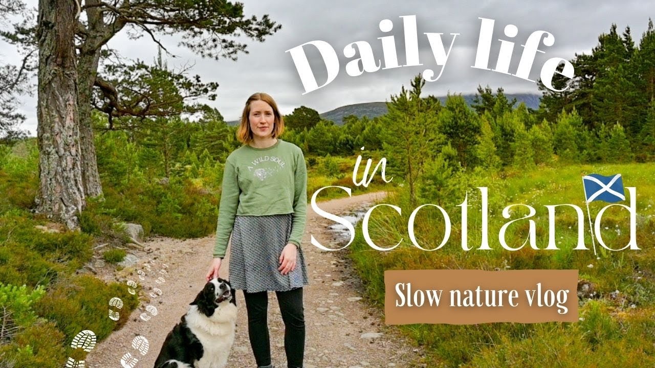 A slow morning in Scottish Nature - YouTube