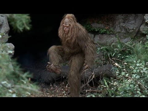Canavarların peşinde 3 (Kocaayak, bigfoot) #belgeselx