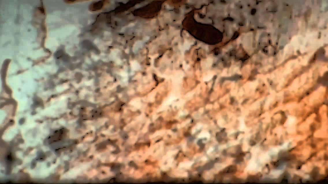 prince loop of pickleton - YouTube