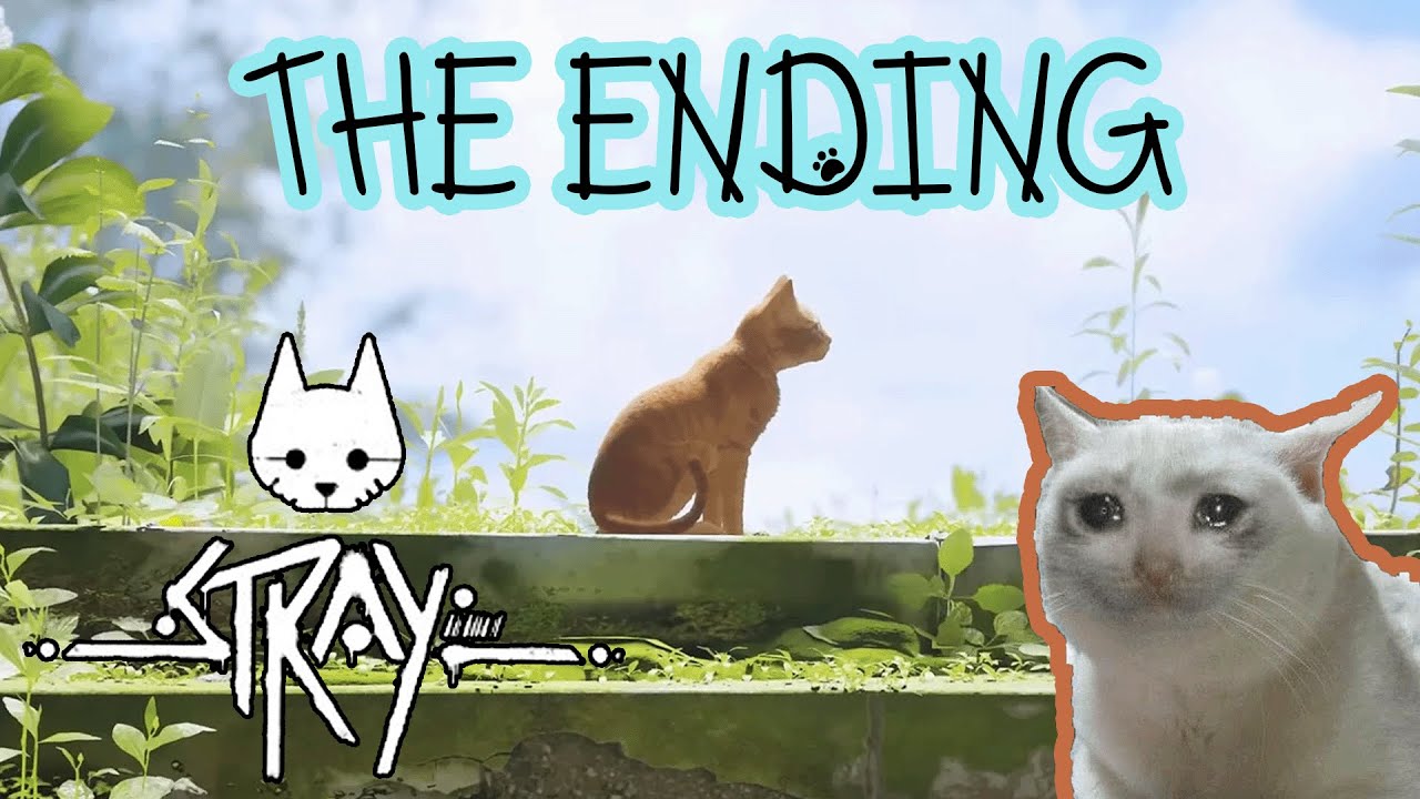 Stray Game Ending - Sad - YouTube