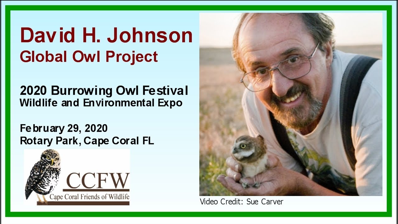 David H. Johnson Presentation on Burrowing Owls - YouTube