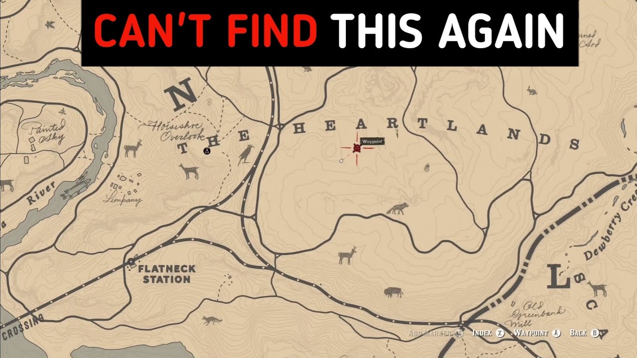 There Is Only One In The Entire Game - RDR2 - YouTube