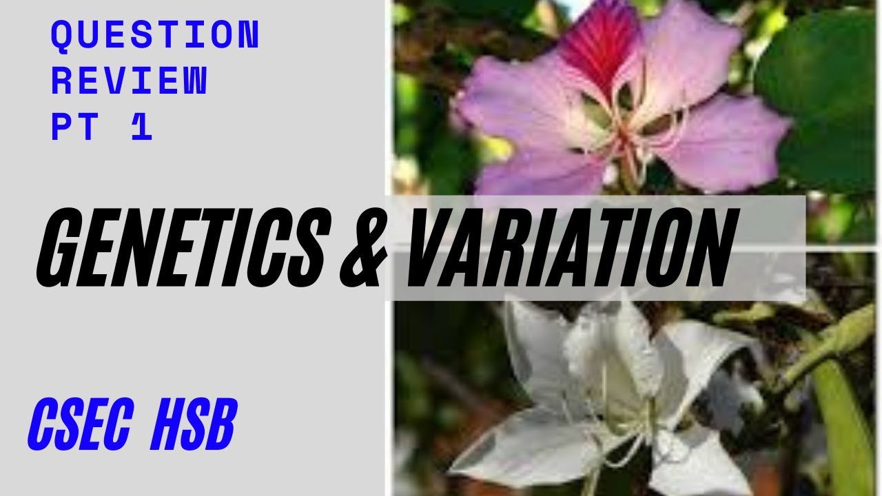 Genetics & Variation | CSEC Past Papers Part 1 - YouTube