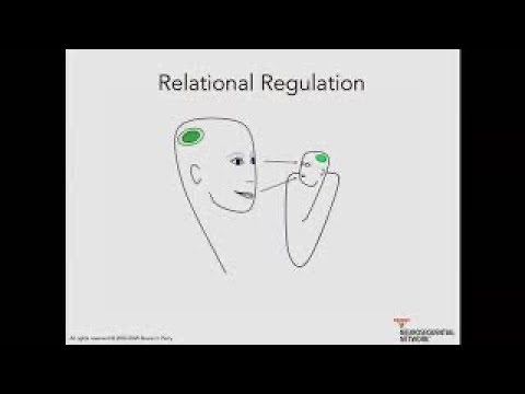 3. Emotional Contagion: Neurosequential Network Stress & Trauma Series ...