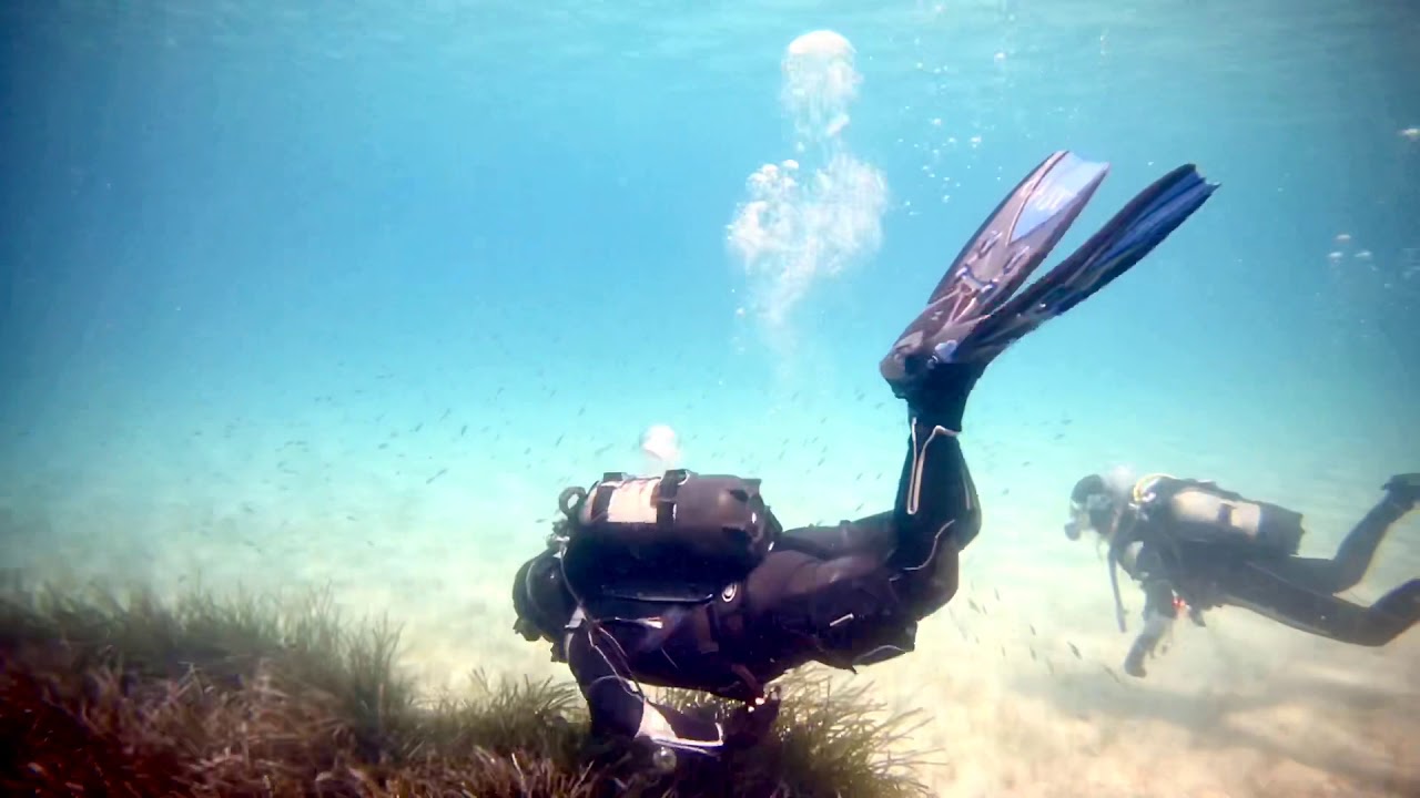 Scuba diving 26 June 2020 - YouTube